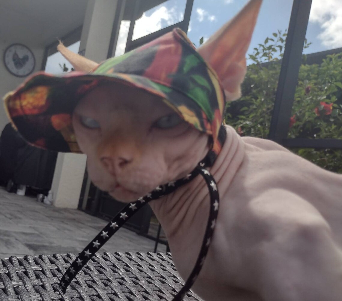 Sphynx Cat Hat Bambino Cat Hat Sphynx Summer Hat Sphynx - Etsy
