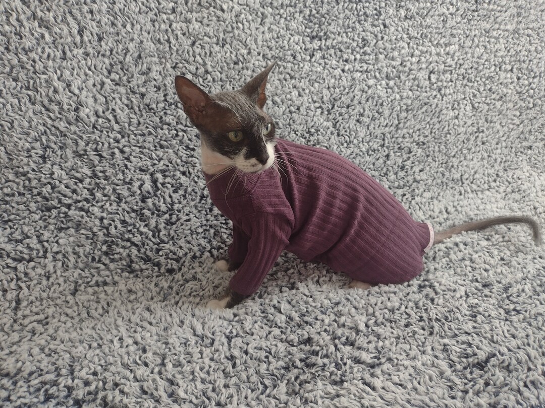 Sphynx Cat Clothes, Hairless Cat Clothes, Long Sleeves Sweater, Sphynx ...