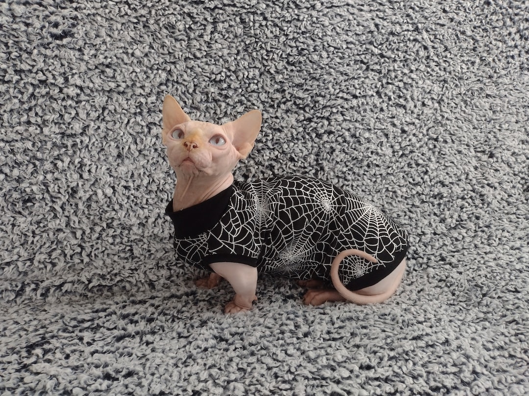 Sphynx Cat Clothes, Bambino Clothes, Sphynx Sweater, Sphynx Cat Shirt ...