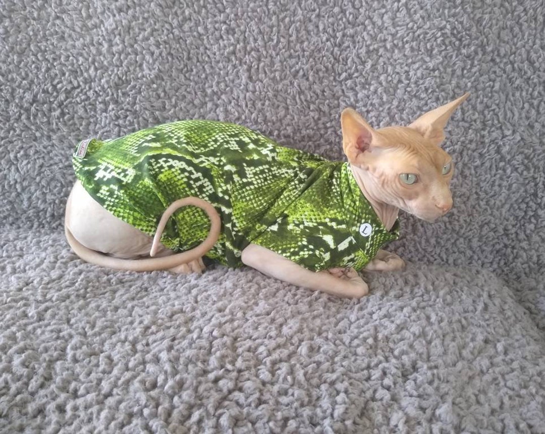 Sphynx Cat Clothes, Bambino Sphynx Clothes, Snake Print Cotton Jersey ...