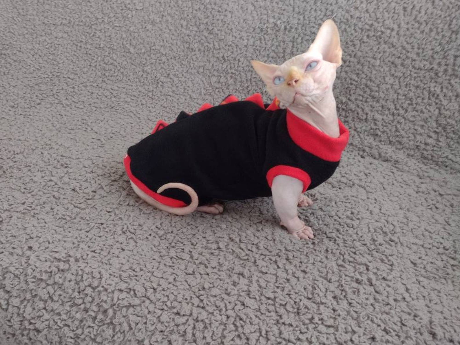 Sphynx Cat Clothes Bambino Sphynx Clothes Dragon Sphynx - Etsy