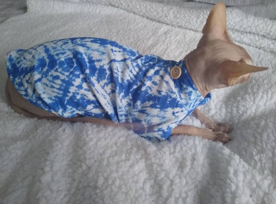 Sphynx cat clothes, bambino sphynx clothes, sphynx sweater, sphynx ...