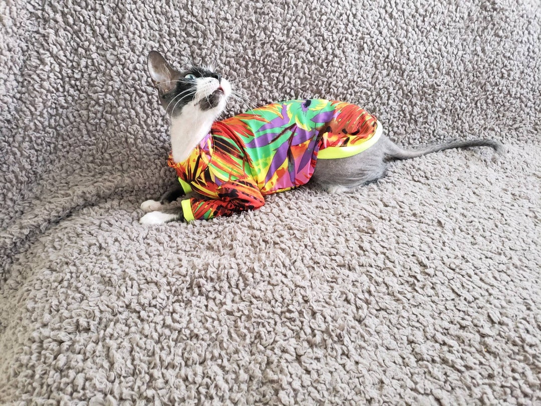 Sphynx Cat Clothes, Sphynx Sweater, Sphynx Clothes, Hairless Cat ...