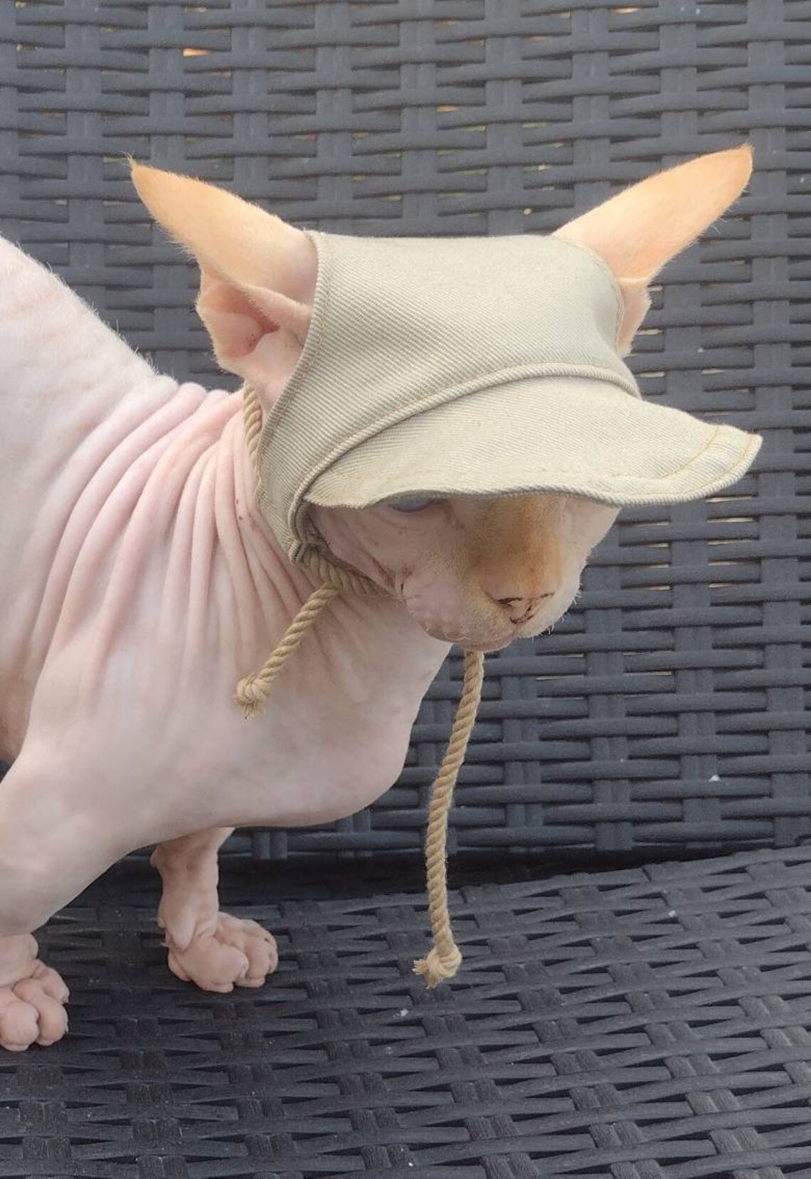 Sphynx Cat Hat, Bambino Sphynx Hat, Hat for Sphynx, Hairless Cat Hat ...