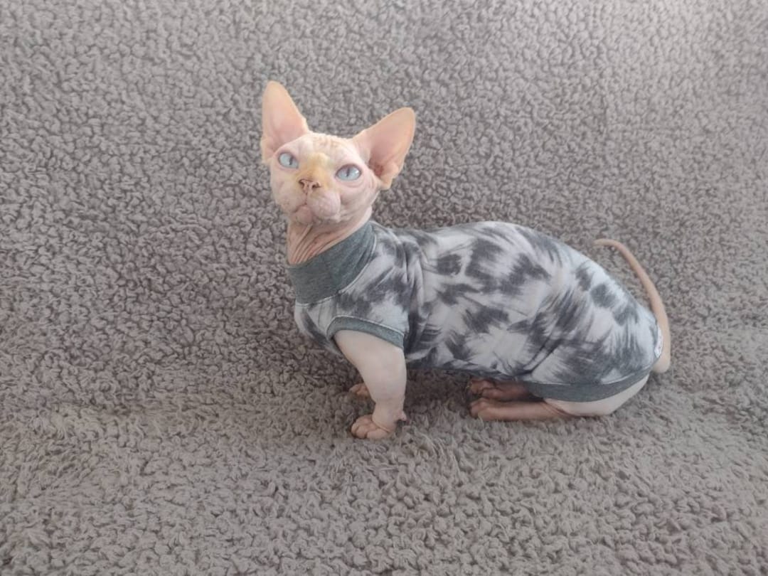 Sphynx Cat Clothes, Bambino Sphynx Clothes, Sphynx Sweater, Hairless ...