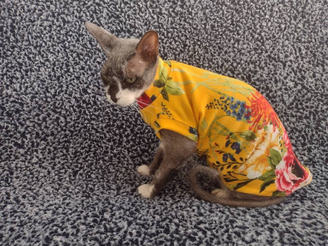 Sphynx Cat Clothes, Bambino Sphynx Clothes, Sphynx Sweater, Sphynx ...