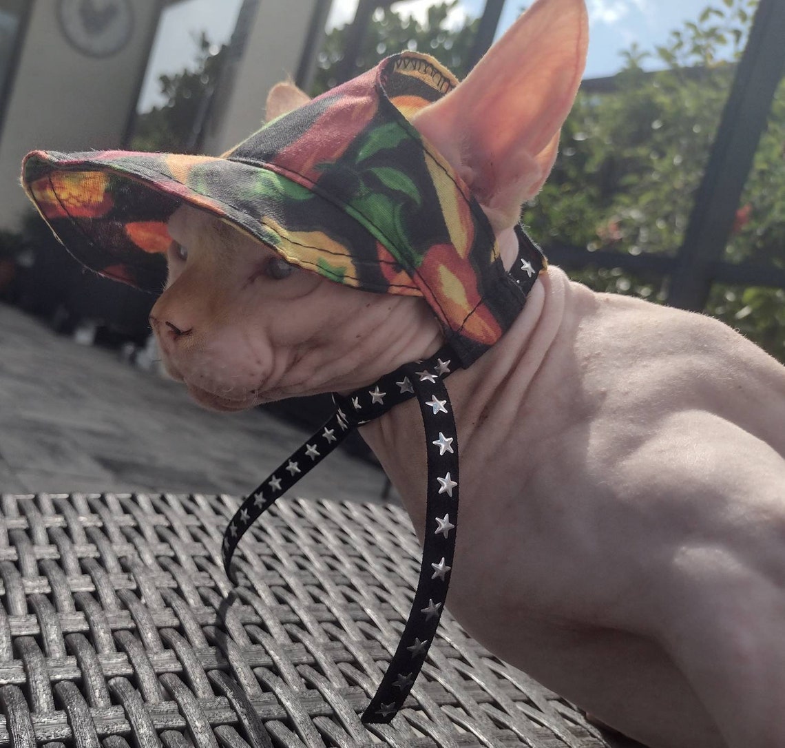 Sphynx Cat Hat Bambino Cat Hat Sphynx Summer Hat Sphynx - Etsy