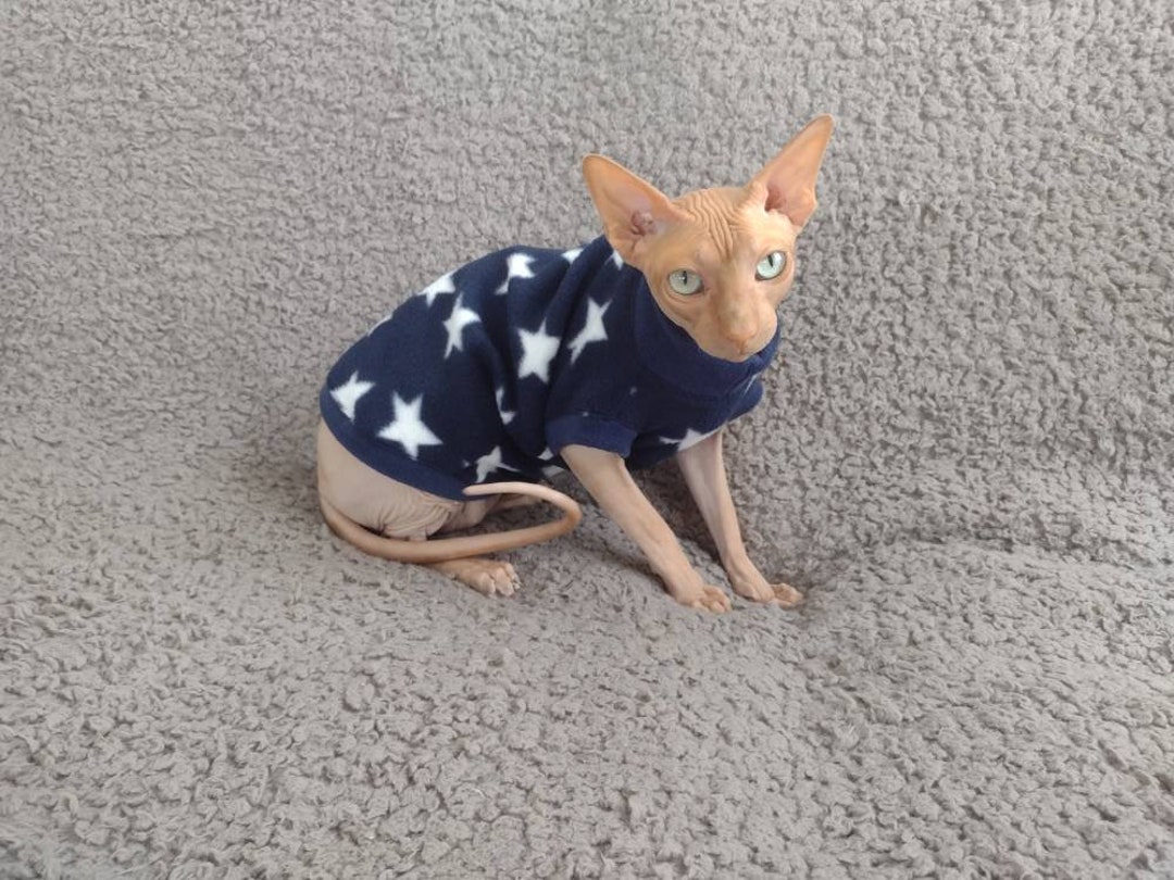 Sphynx Cat Clothes, Bambino Sphynx Clothes, Sphynx Cat Fleece Sweater ...