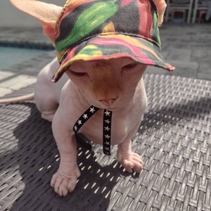 Sphynx Cat Hat, Bambino Cat Hat, Sphynx Summer Hat, Sphynx Hat, Bambino ...