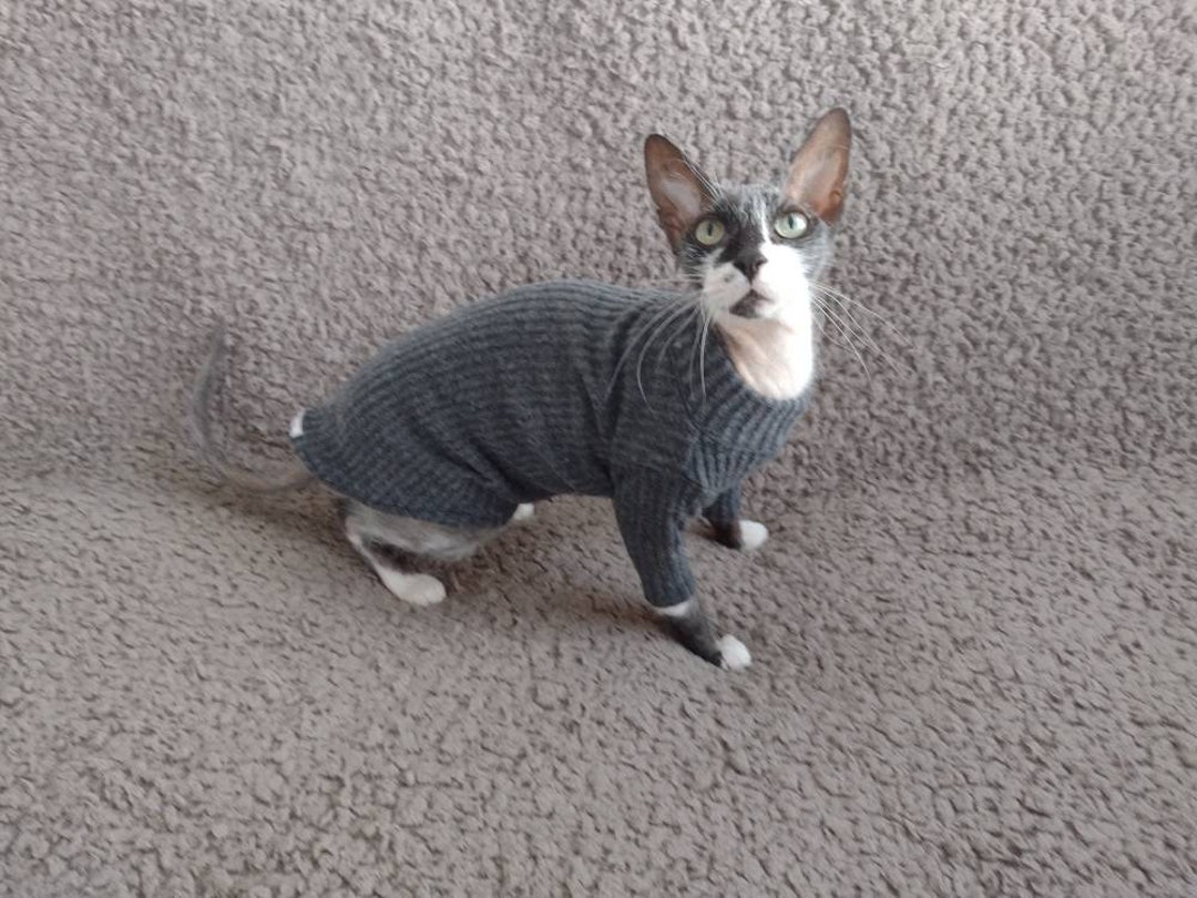Sphynx Cat Clothes Long Sleeves Sphynx Cat Sweater Sphynx - Etsy