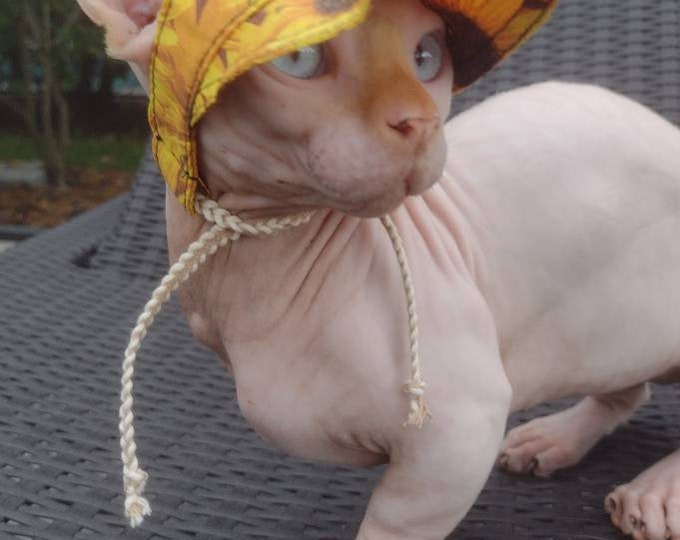 Sphynx Cat Hat, Bambino Sphynx Hat, Summer Hat for Sphynx, Sphynx Hat ...