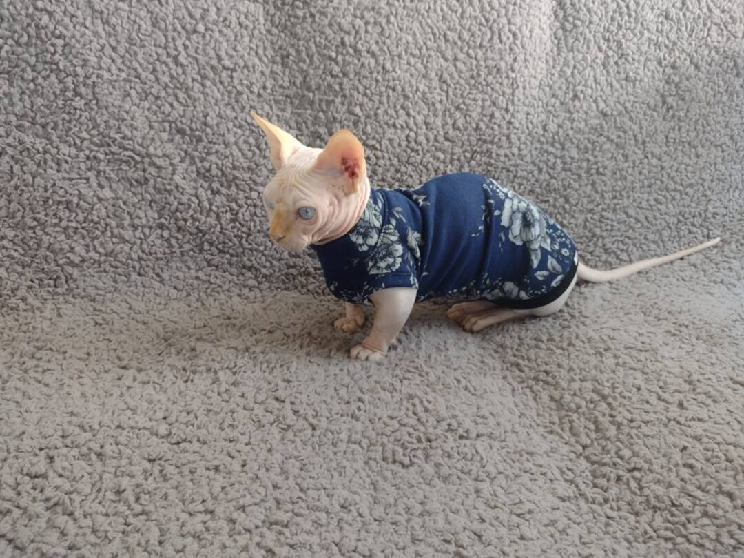 Sphynx Cat Clothes, Bambino Sphynx Clothes, Sphynx Sweater, Sphynx ...