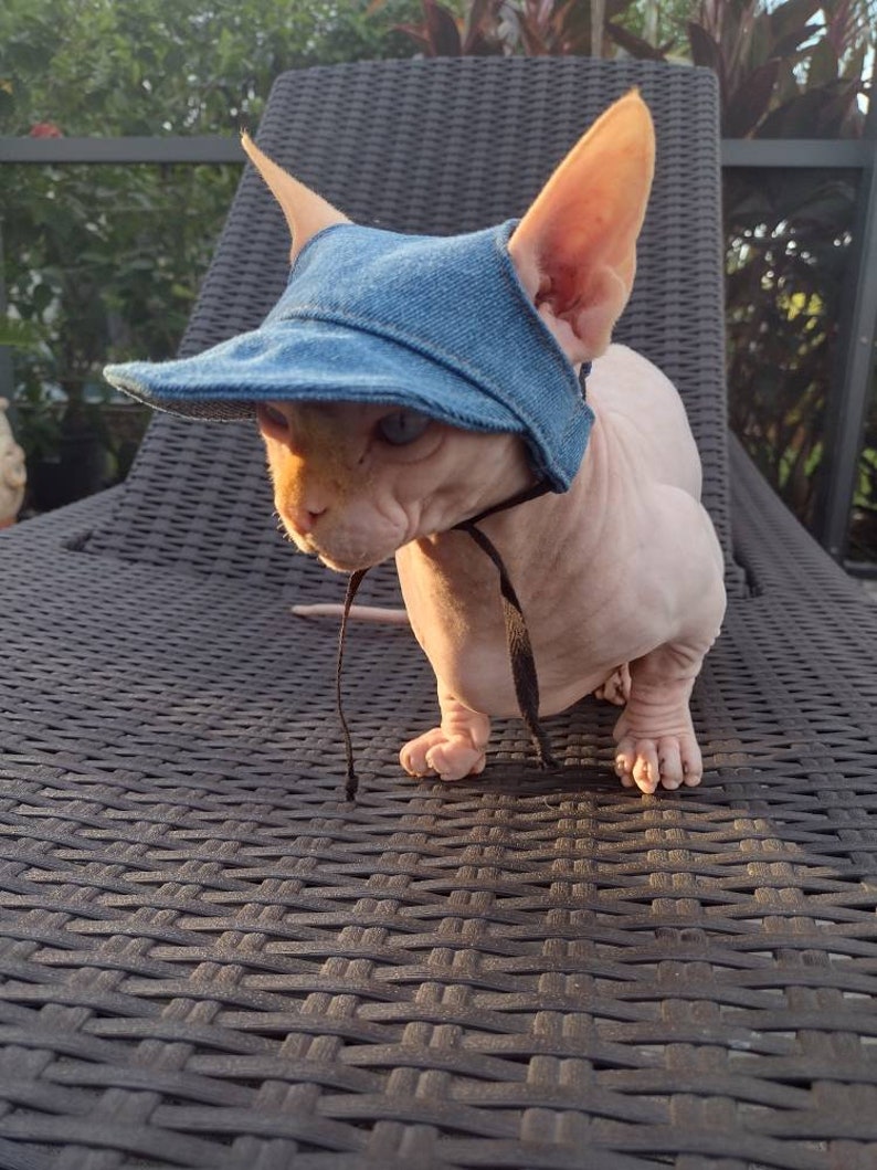 Sphynx Cat Hat, Bambino Sphynx Hat,denim Sphynx Cat Hat, Sphynx Hat ...