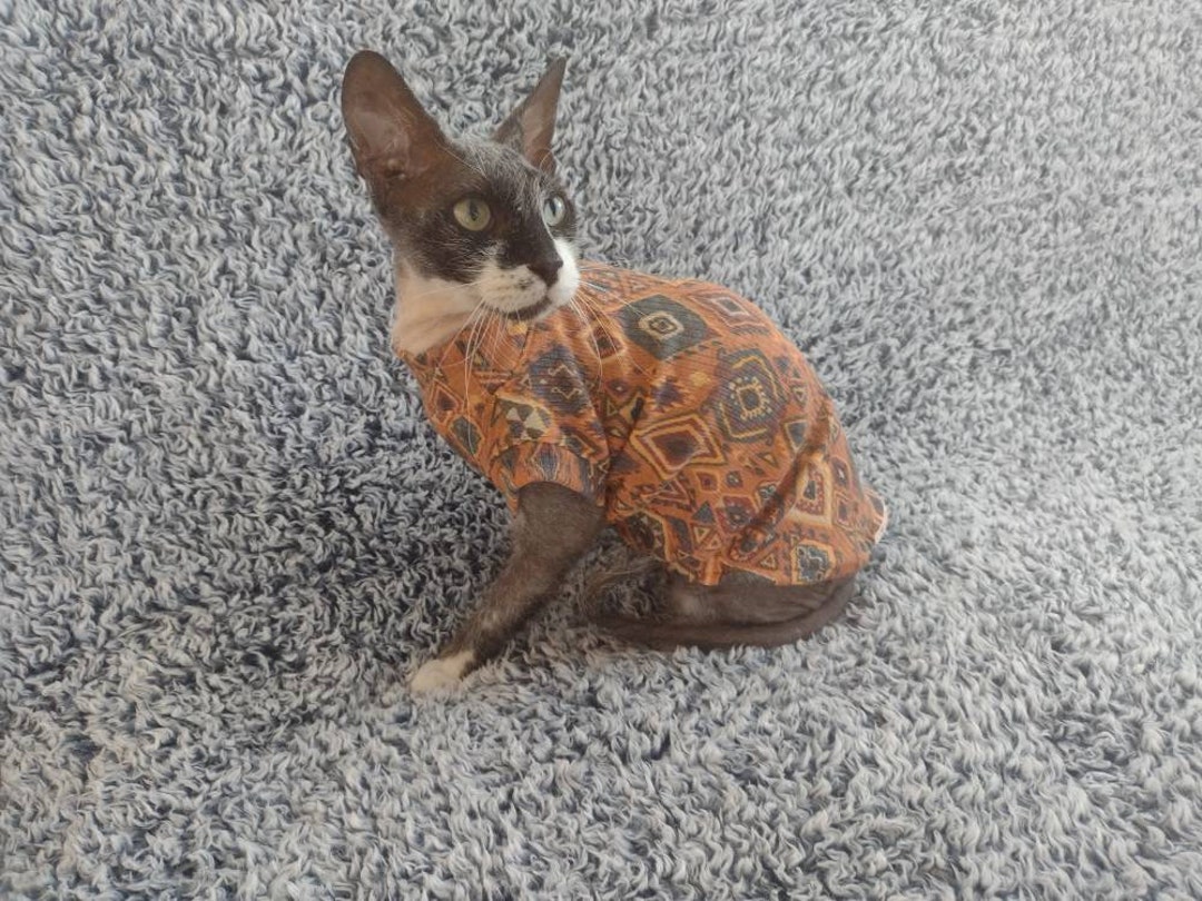 Sphynx Cat Clothes, Bambino Sphynx Clothes, Hairless Cat Clothes ...