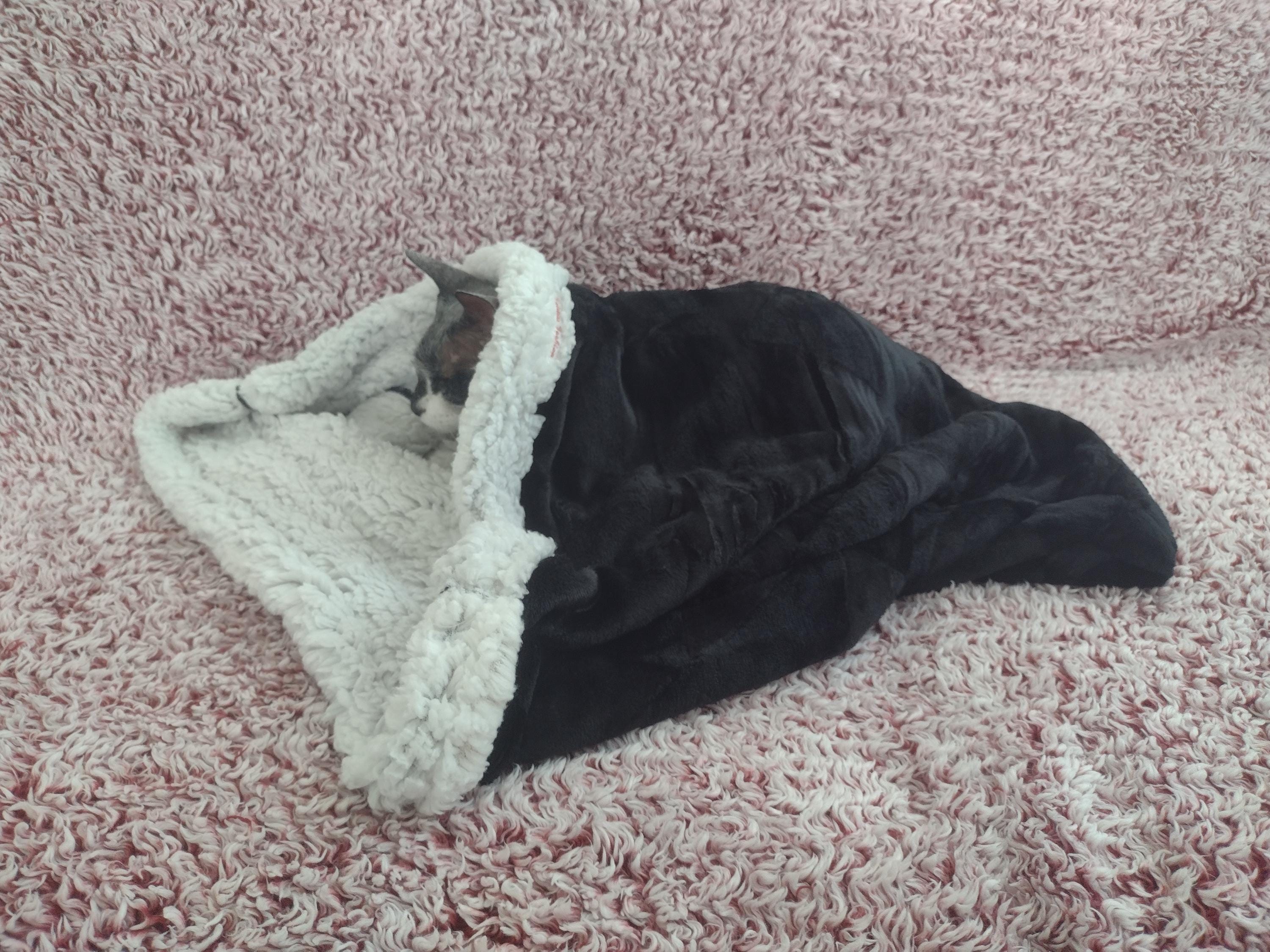 Snuggle Bed, Cat Sleep Sack, Sleeping Bag, Pet Sleeping Bag, Pet ...