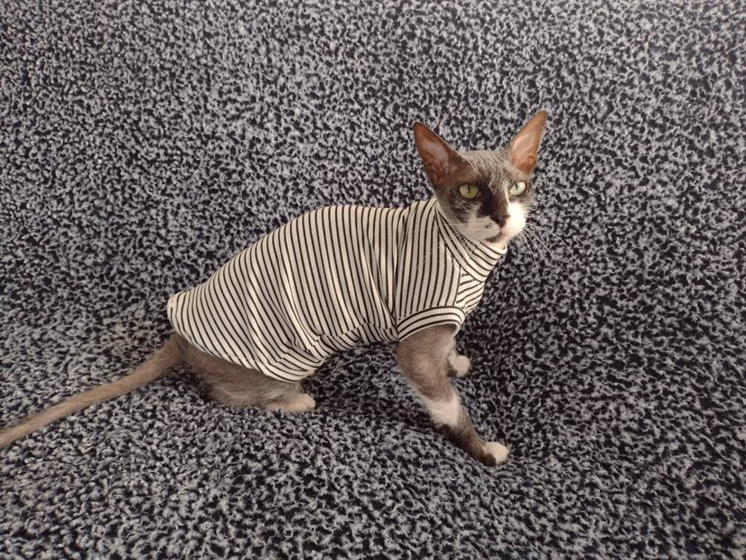 Sphynx Cat Clothes, Bambino Sphynx Clothes, Sphynx Sweater, Sphynx ...