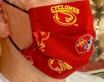 Iowa Face Mask - Etsy