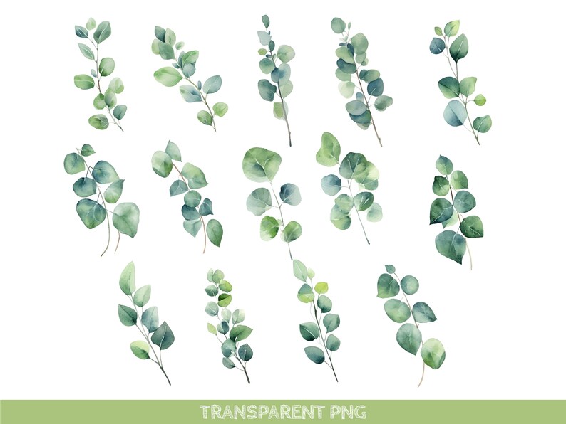 Tropical Watercolor Flower Clipart, Summer Leaves Collection (143 ...