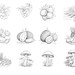 100 Fruits and Vegetables Coloring Pages | Kids and Adults (digital ...