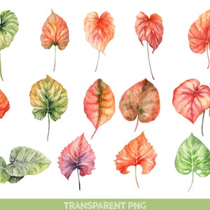 Tropical Watercolor Flower Clipart, Summer Leaves Collection (143 ...