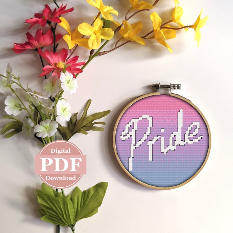 Cross Stitch Pattern Pride Bi Flag Intermediate Modern - Etsy