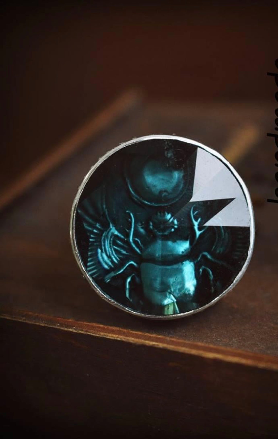 Quartz Ring With Insect Inclusion, Insect Fly Ring Under the Stone ...