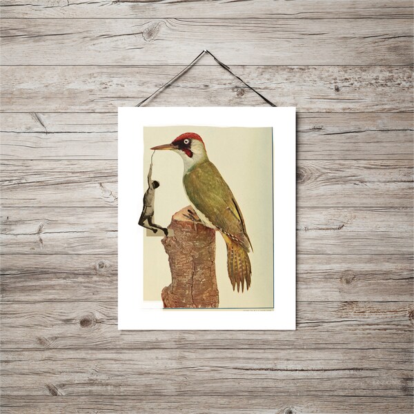 Marievedesign - Etsy Canada