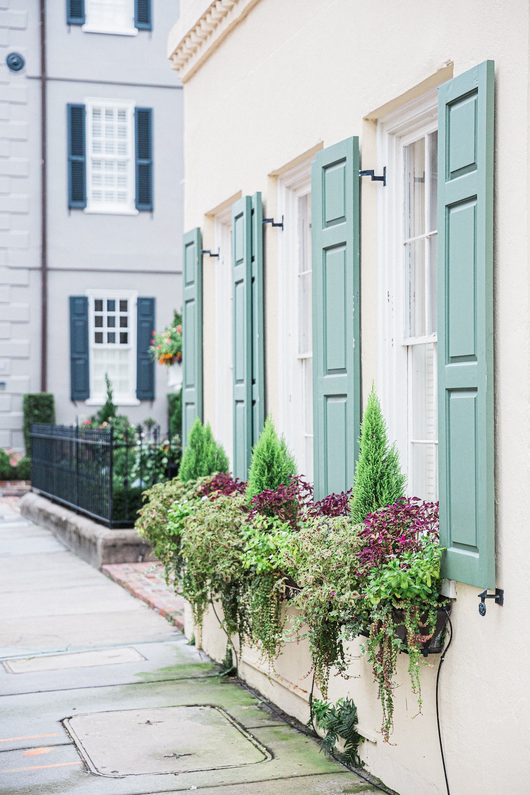 Charleston, South Carolina Photography - Window Boxes and Shutters ...