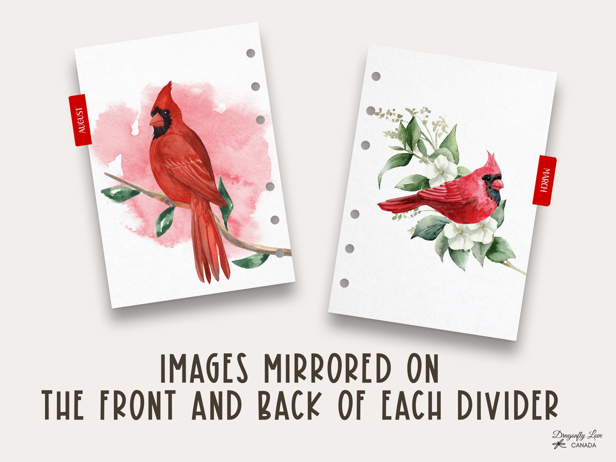 Monthly Cardinal Dividers for 5.5 X 8.5 Planners - Etsy