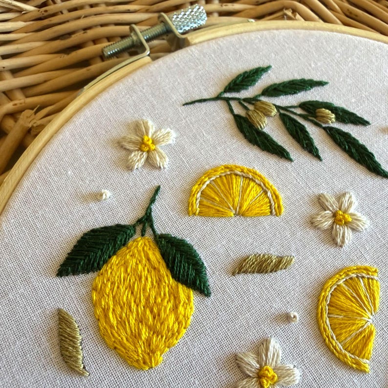 Citrus Embroidery Kit – Lemon or Orange Hoop Art, Beginner Summer ...