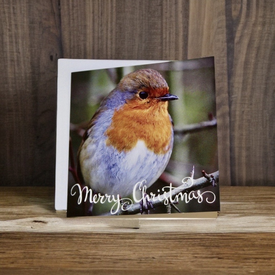Robin Christmas Card Pack / Robin Xmas Card / Merry Christmas - Etsy