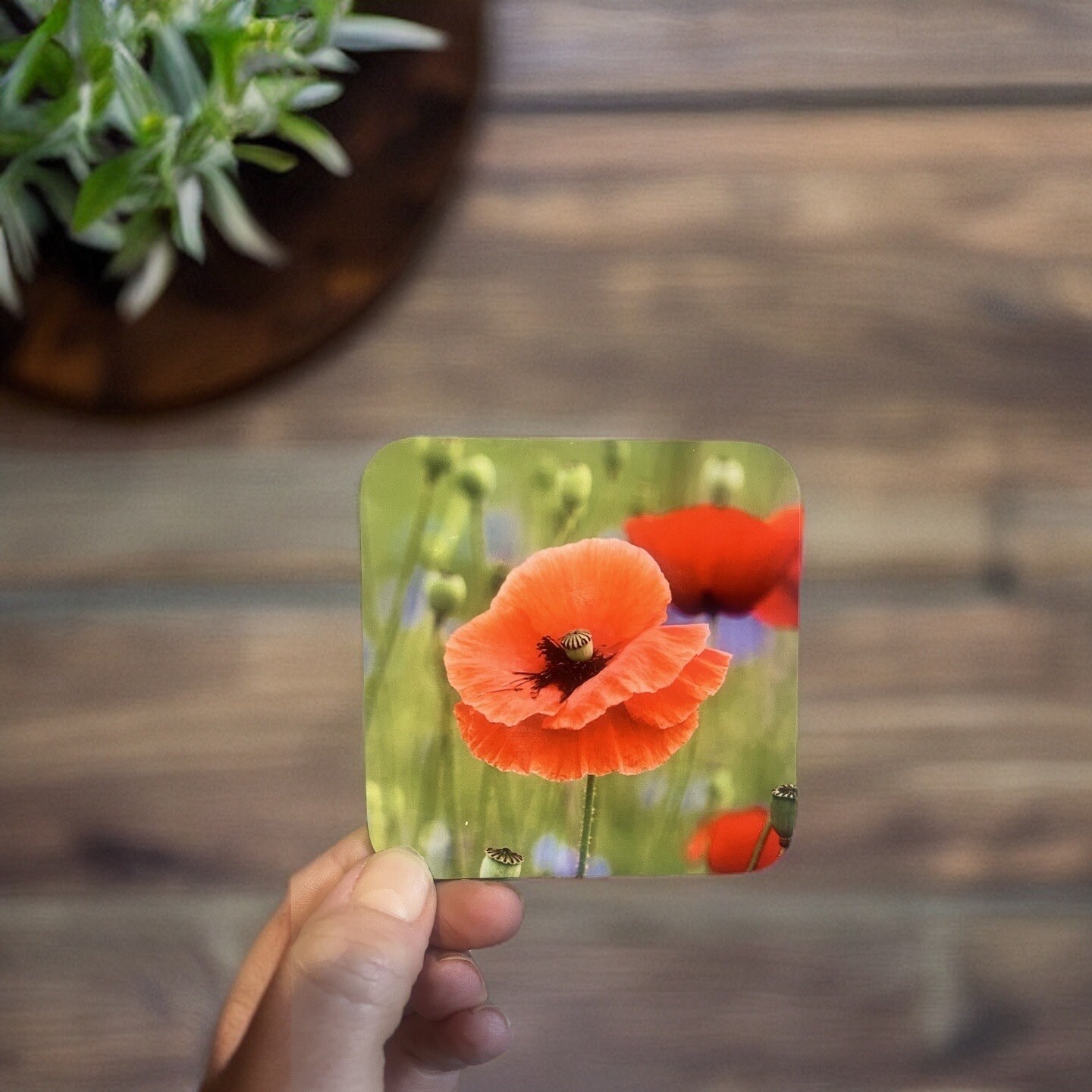 Nature Coasters / Poppy Coaster Pair / Luxury Red Wild Poppy Coaster ...