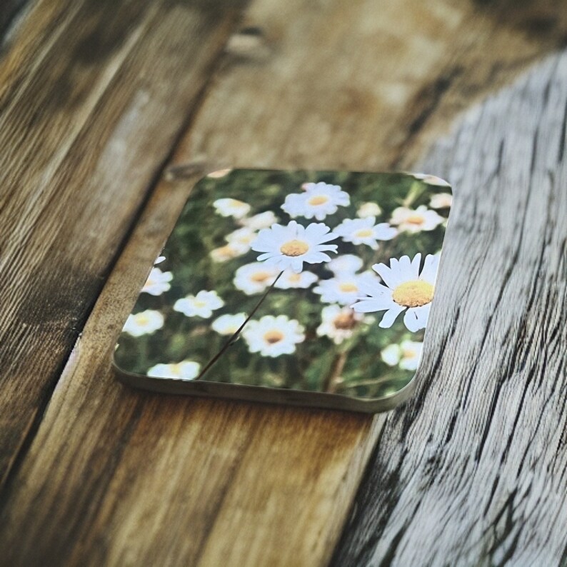 Daisy Coasters / Oxeye Daisy Drinks Coaster : Wildflower Wooden Nature ...