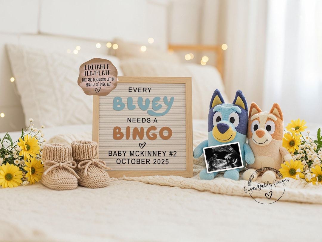 Pregnancy Announcement Digital, Bluey Baby Announcement, Every Bluey ...