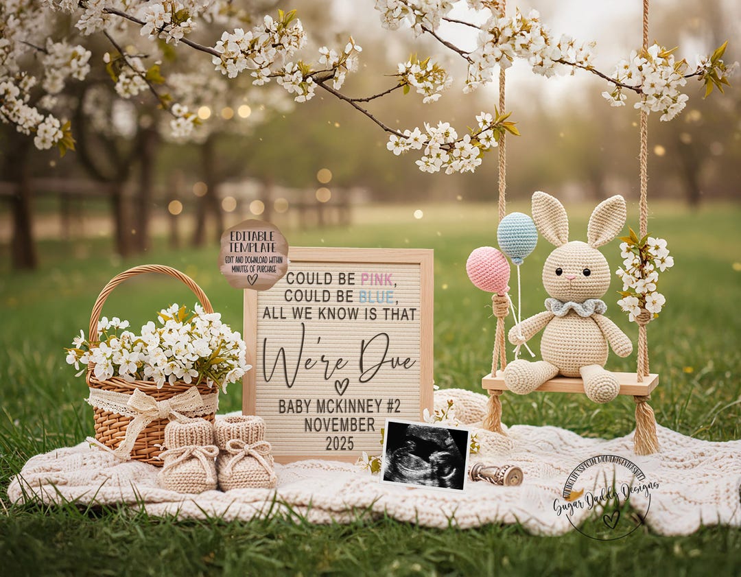 Gender Neutral Pregnancy Announcement: Pink or Blue, Social Media ...