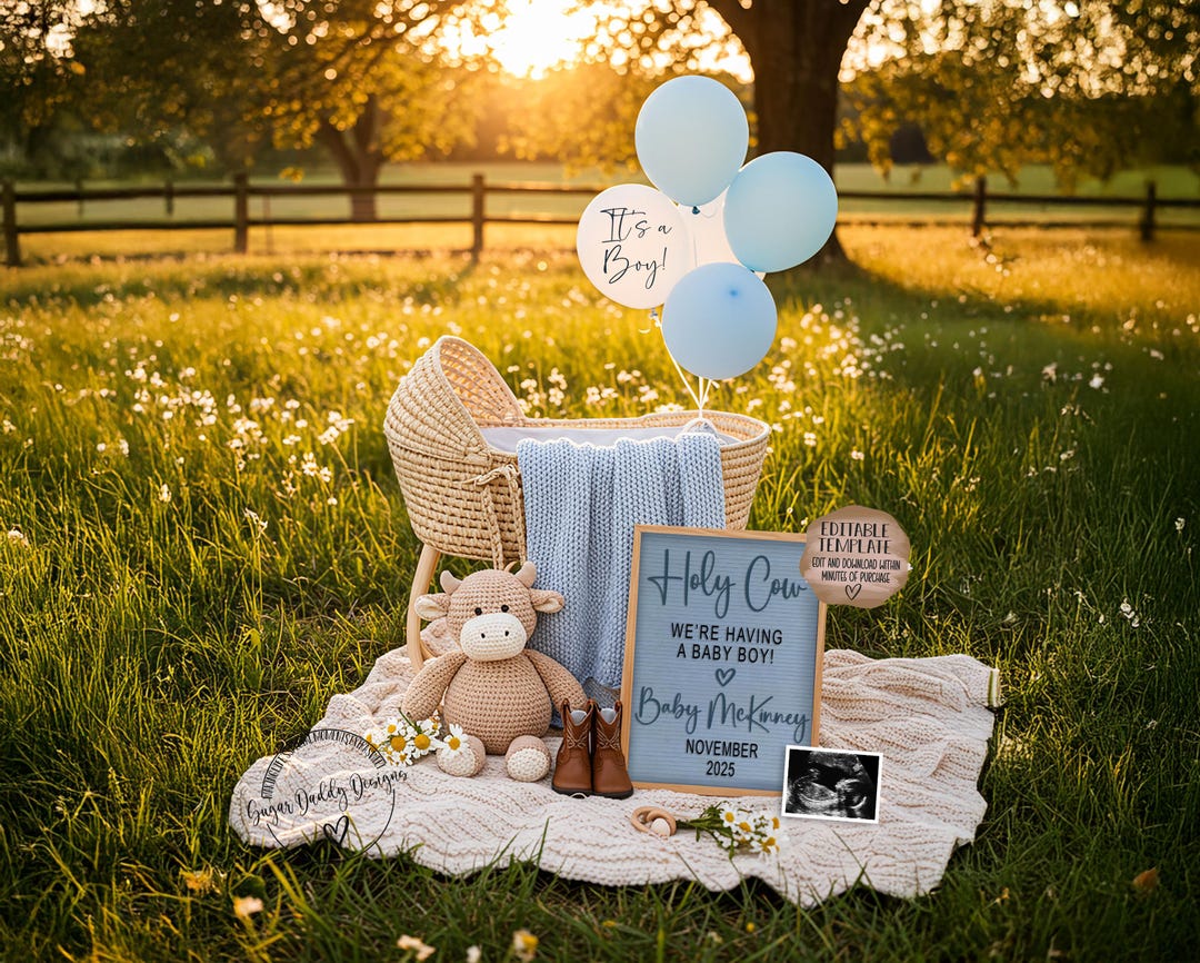 Cow Baby Boy Pregnancy Announcement: Gender Reveal (digital Download ...