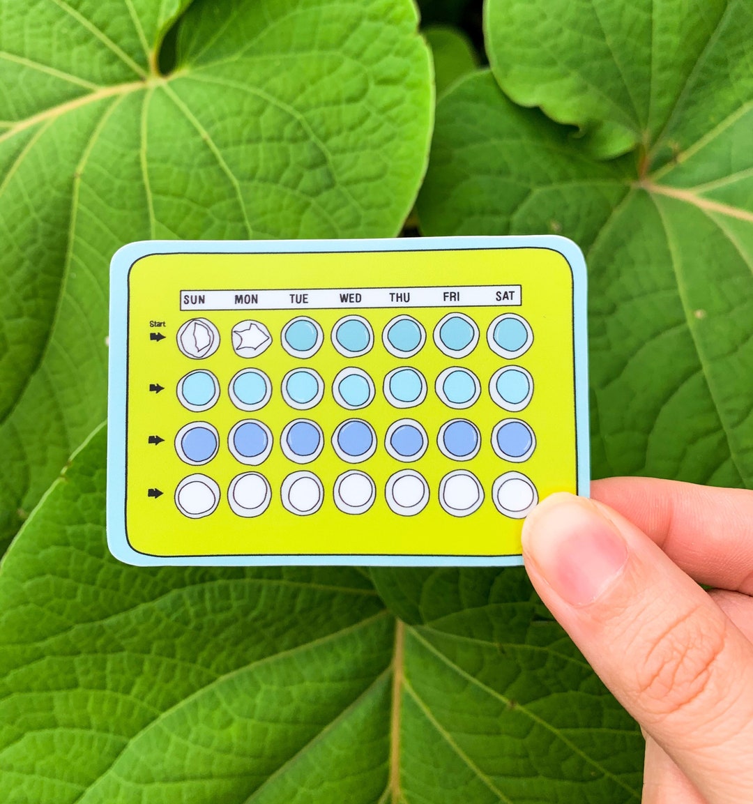 Birth Control Sticker, Healthcare Sticker, Womens Healthcare Sticker ...