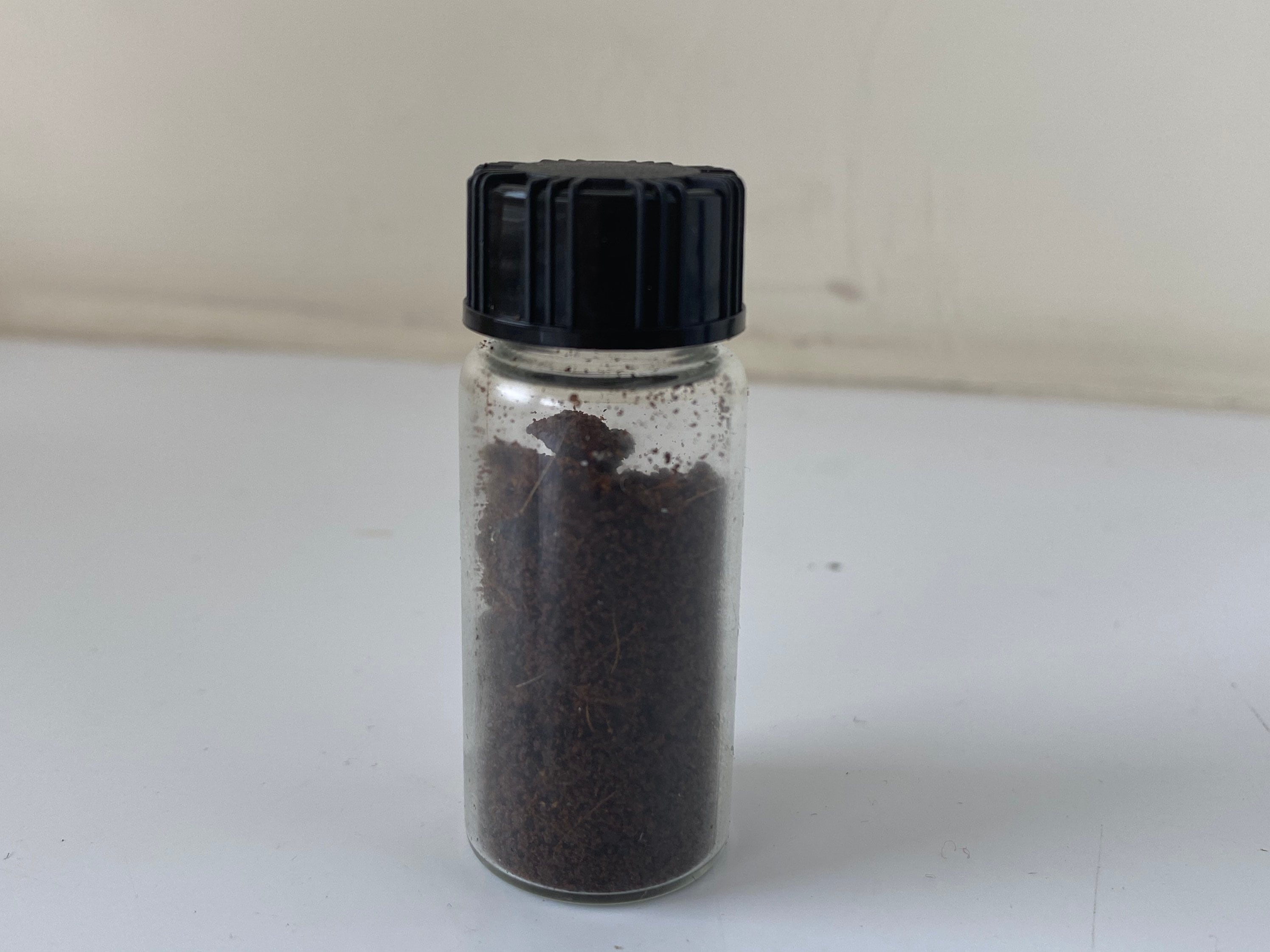 Kashmiri Deer Musk Grains From KASHMIR المسك س / Kasturi/ Kabarga/ - Etsy