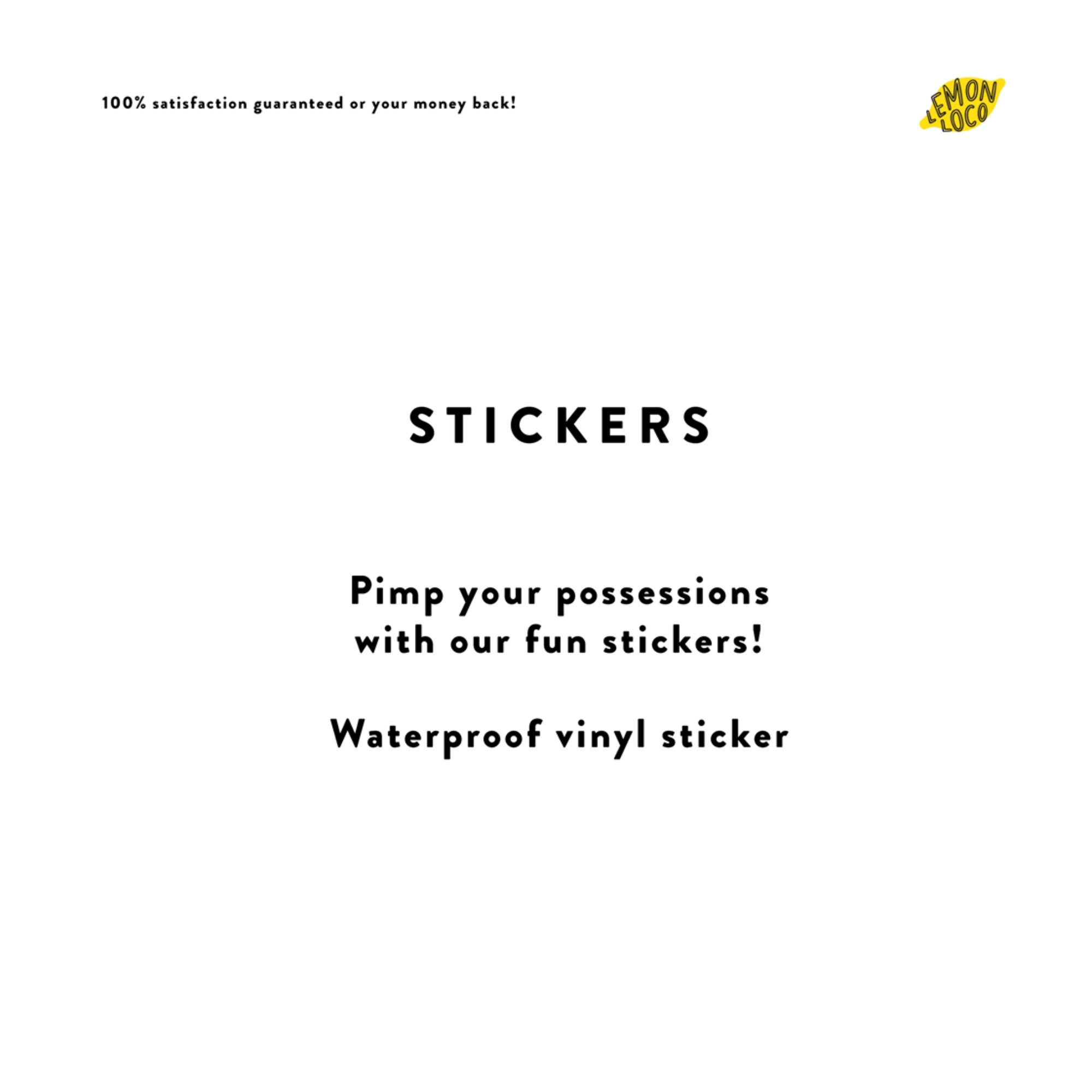 Slay Sticker Funny Pink Laptop Sticker LGBT Gift | Etsy