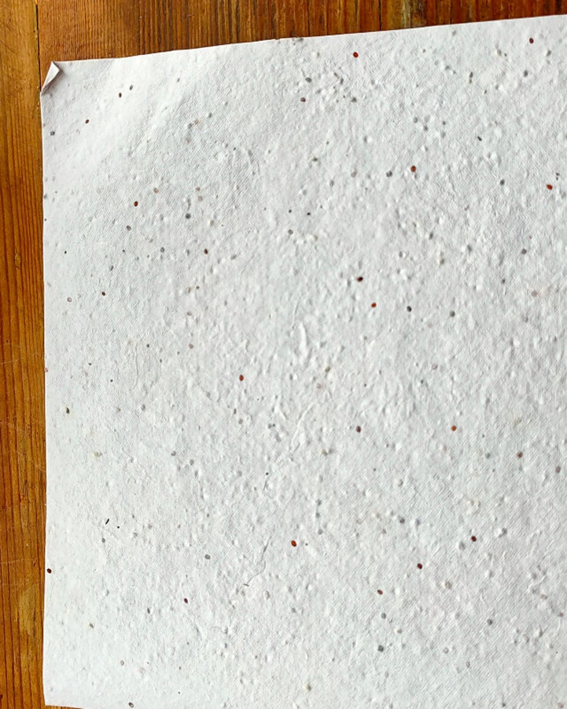 Wholesale BUDGET/IMPERFECT Seed Paper - A4, A5 & A6. Handmade, Recycled ...