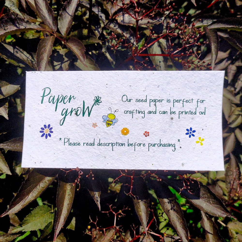 10x A5 Seed Paper / Card. Handmade Recycled & Plantable Seed | Etsy