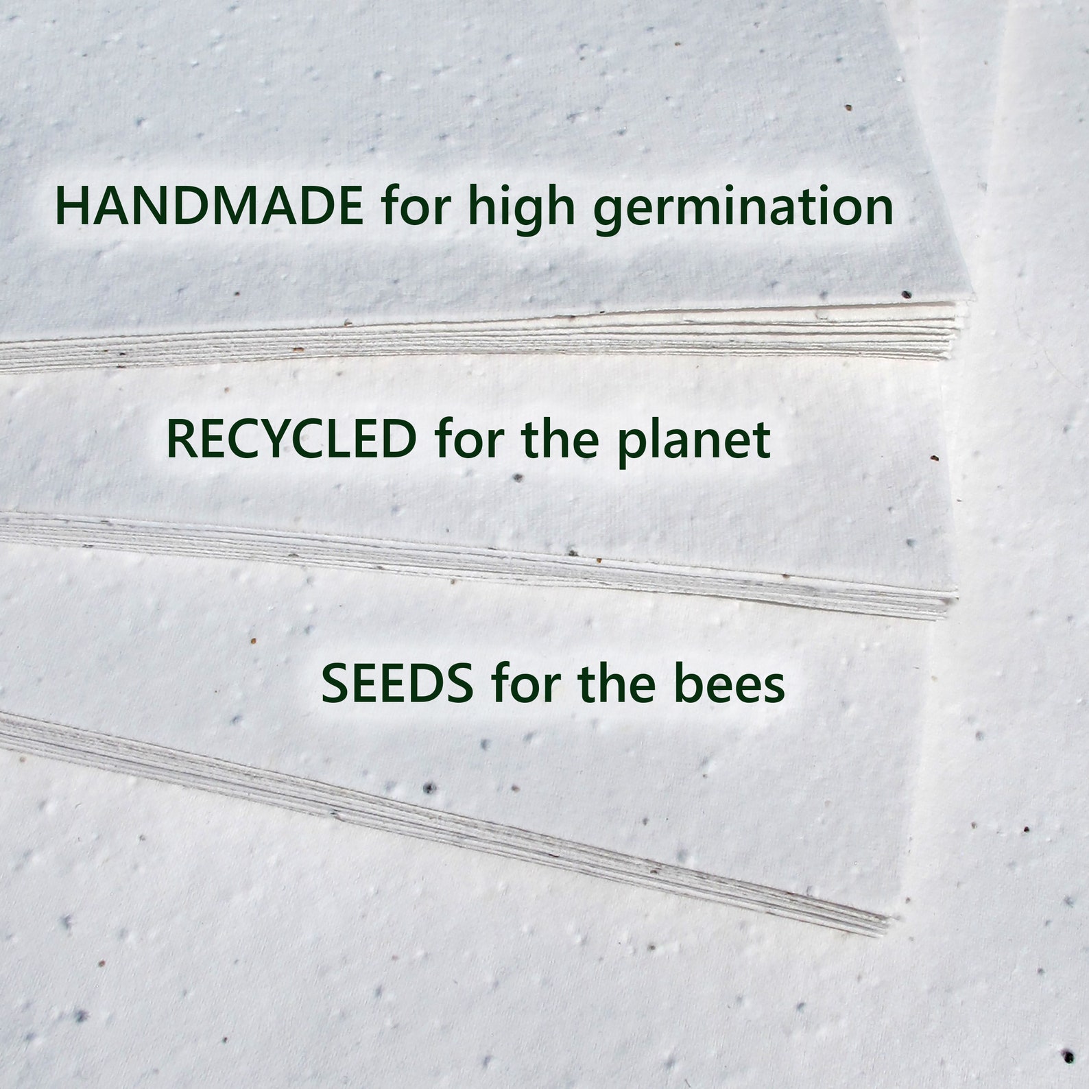 25x A5 Seed Paper / Card. Handmade Recycled & Plantable Seed - Etsy UK