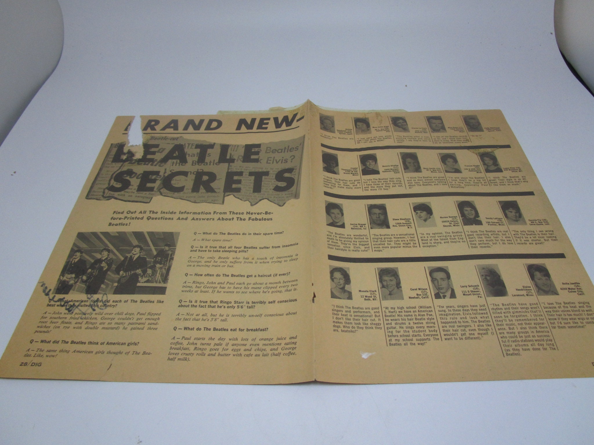 1964 Dig Magazine Giant Beatle Pinup George Harrison Autograph - Etsy