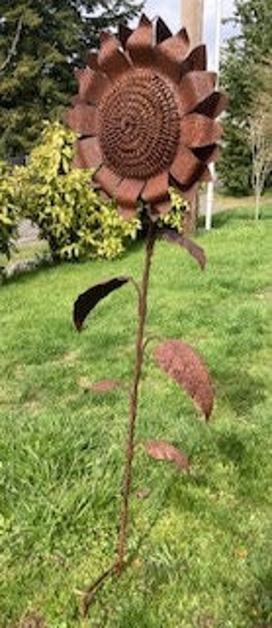 Medium Cast Iron Sunflower Garden Stake - Etsy