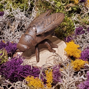 Brown Cast Iron Cicada Insect Home Garden Yard Lawn Outdoors Patio Art ...