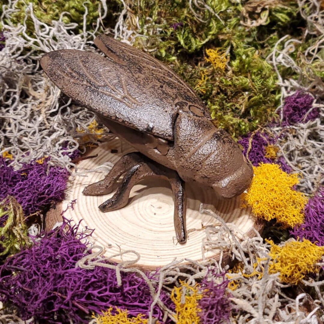 Brown Cast Iron Cicada Insect Home Garden Yard Lawn Outdoors Patio Art ...