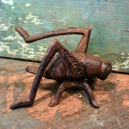 Cast Iron Brown Turtle Home Decor - Etsy