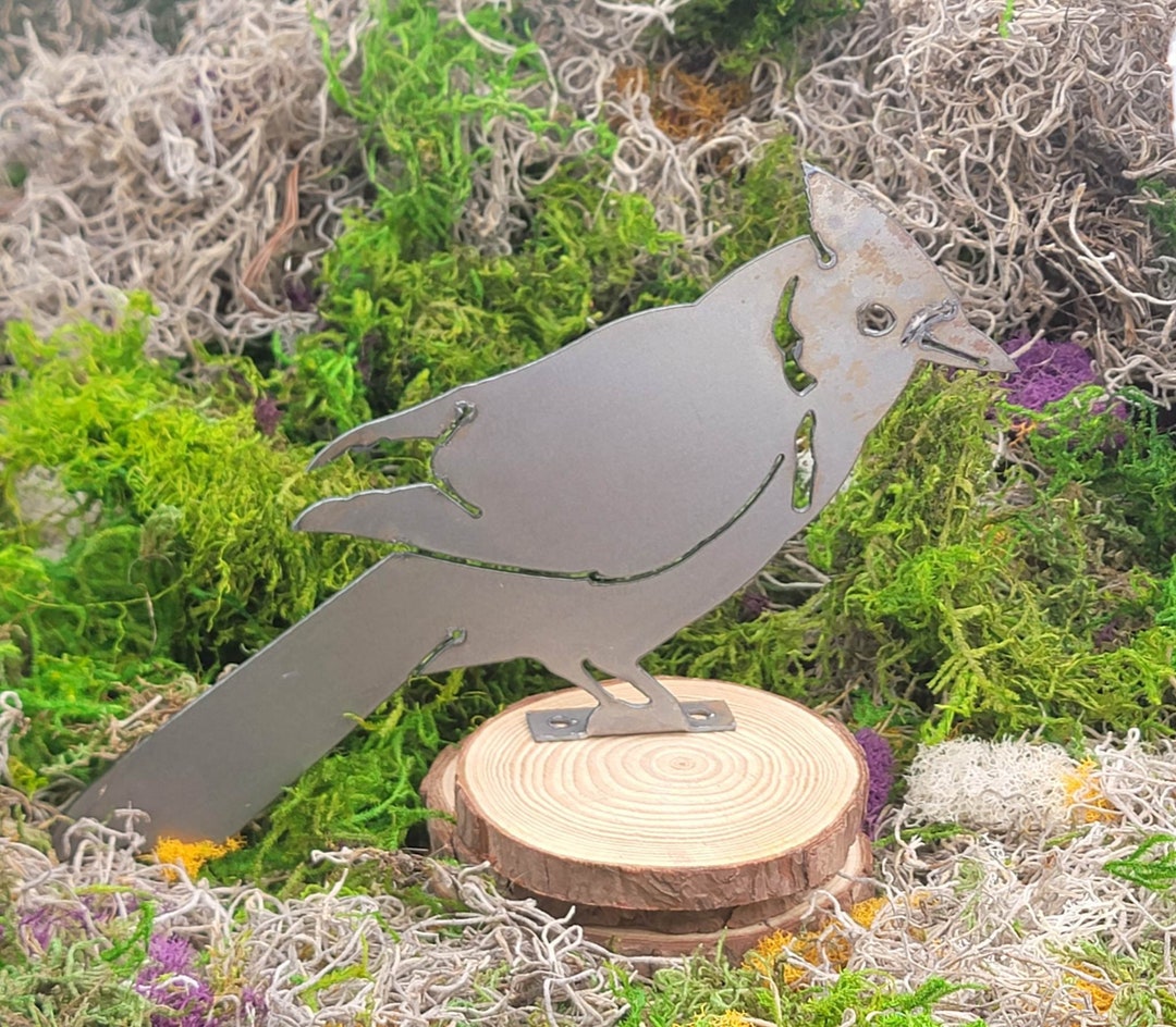 Cut Metal Rusty Blue Jay Bird Garden Home Yard Outdoor Lawn Fence Tree ...