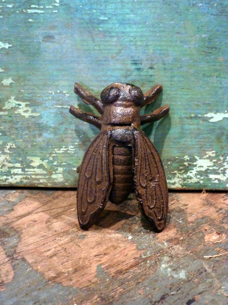 Cast Iron Brown House Fly Insect Home Garden Yard Lawn Outdoor - Etsy