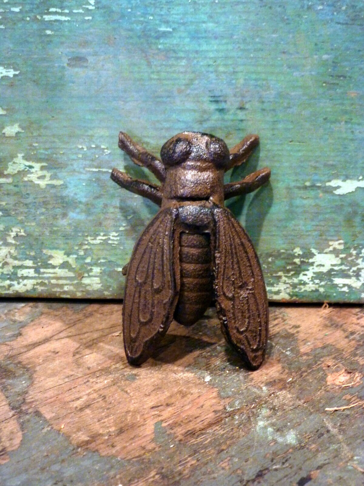 Cast Iron Brown House Fly Insect Home Garden Yard Lawn Outdoor - Etsy
